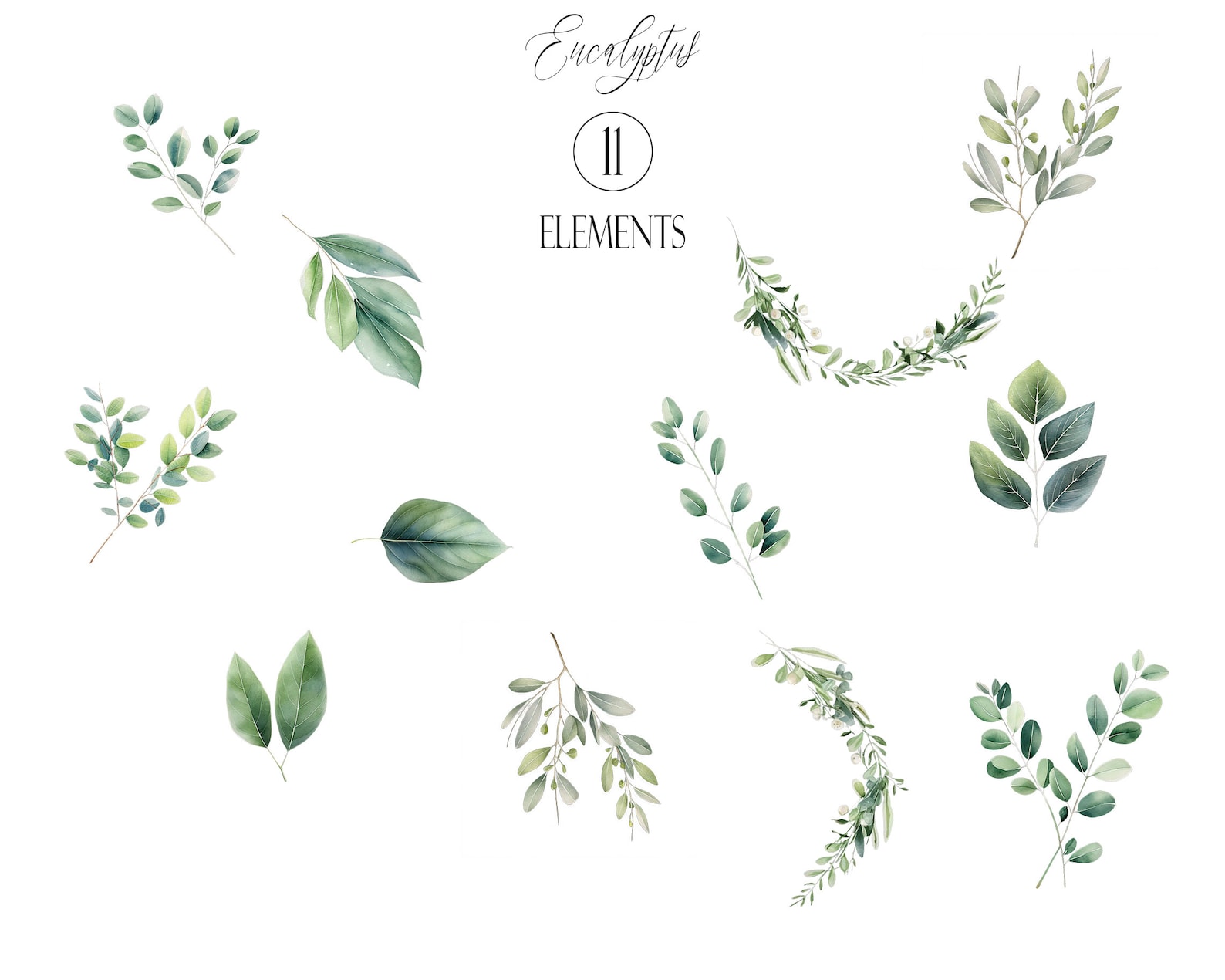 Watercolor Greenery Eucalyptus Clipart Greenery Clipart - Etsy