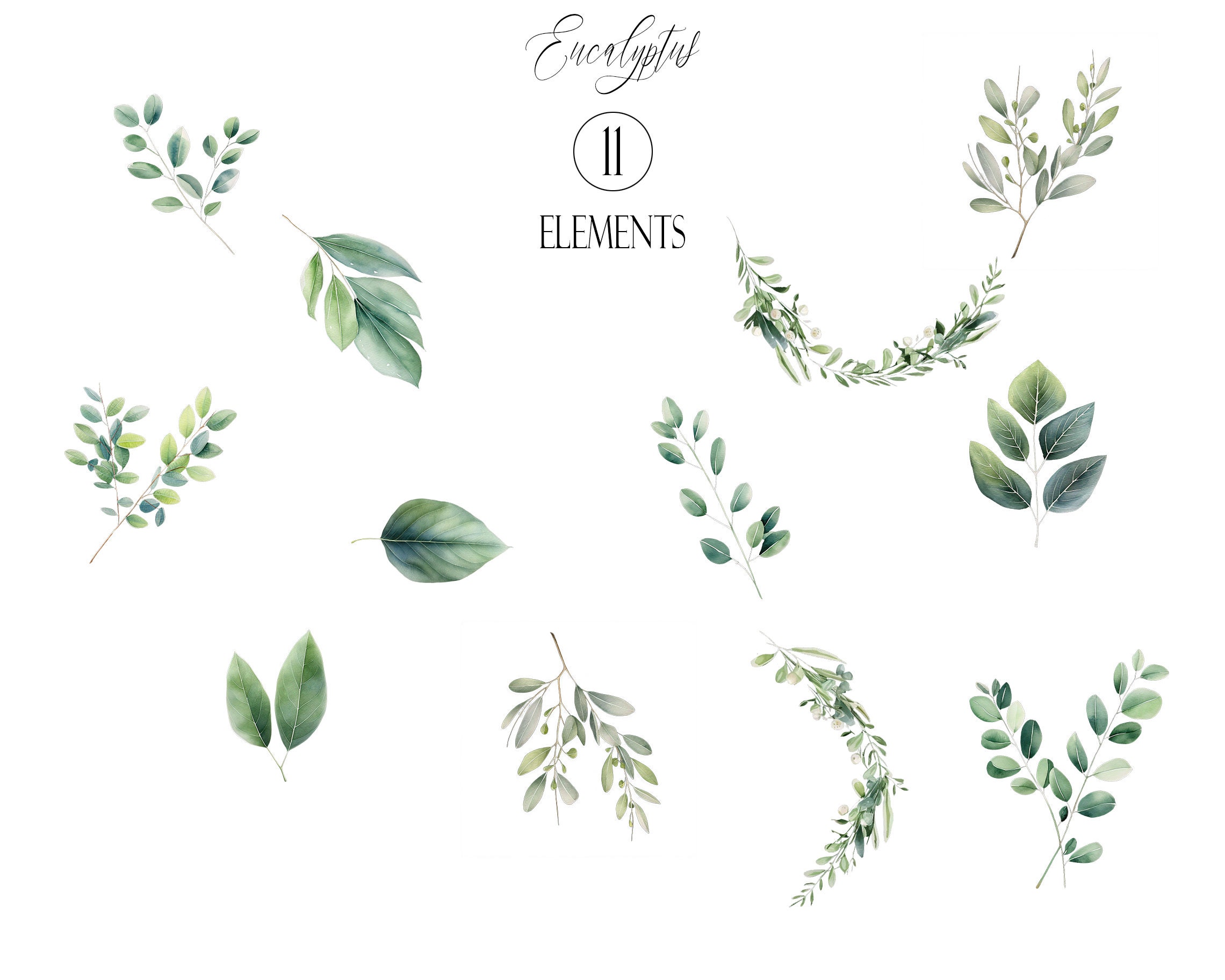 Watercolor Greenery Eucalyptus Clipart Greenery Clipart Watercolor ...