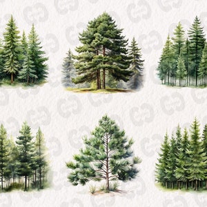 Watercolor Pine Trees Clipart Bundle, Woodland Graphics in PNG and SVG ...