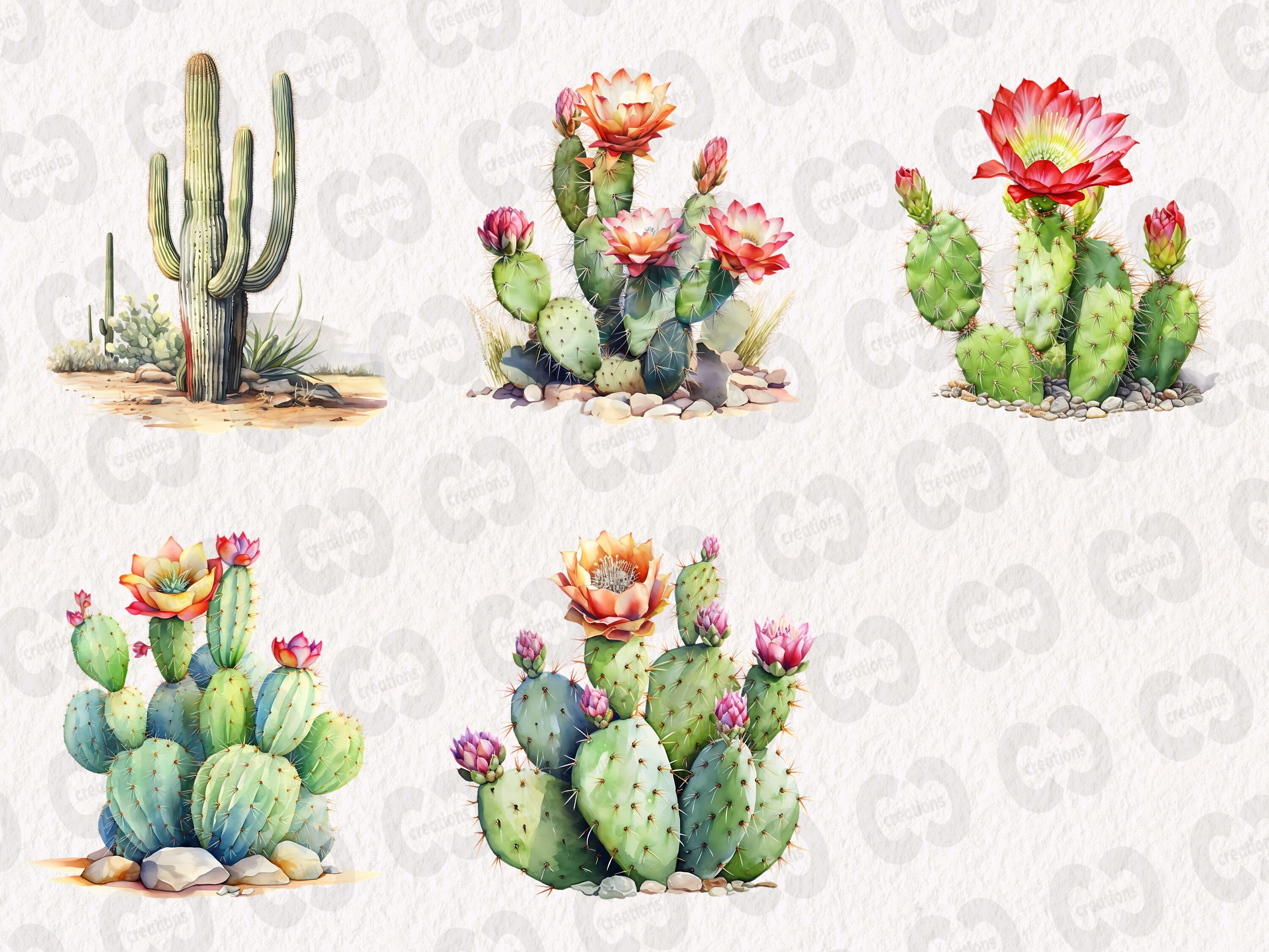 Watercolor Desert Cactus Clipart, Cacti Graphics in PNG and SVG Format ...
