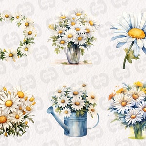 Watercolor Daisy Flower Clipart Bundle, Cute Daises Graphics, Digital ...