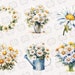 Watercolor Daisy Flower Clipart Bundle, Cute Daises Graphics, Digital ...