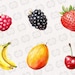 Watercolor Fruits Clipart Bundle, Cute Food Graphics in PNG and SVG ...