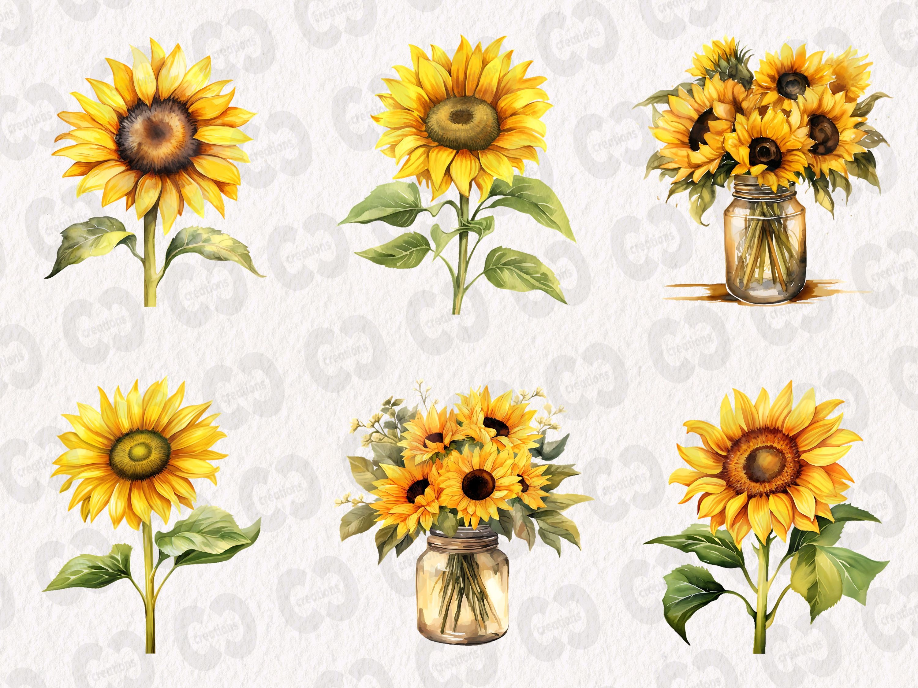 Watercolor Sunflowers Clipart Bundle Autumn Sunflower - Etsy