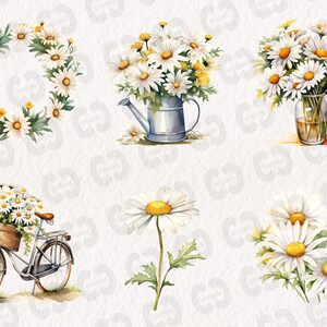 Watercolor Daisy Flower Clipart Bundle, Cute Daises Graphics, Digital ...