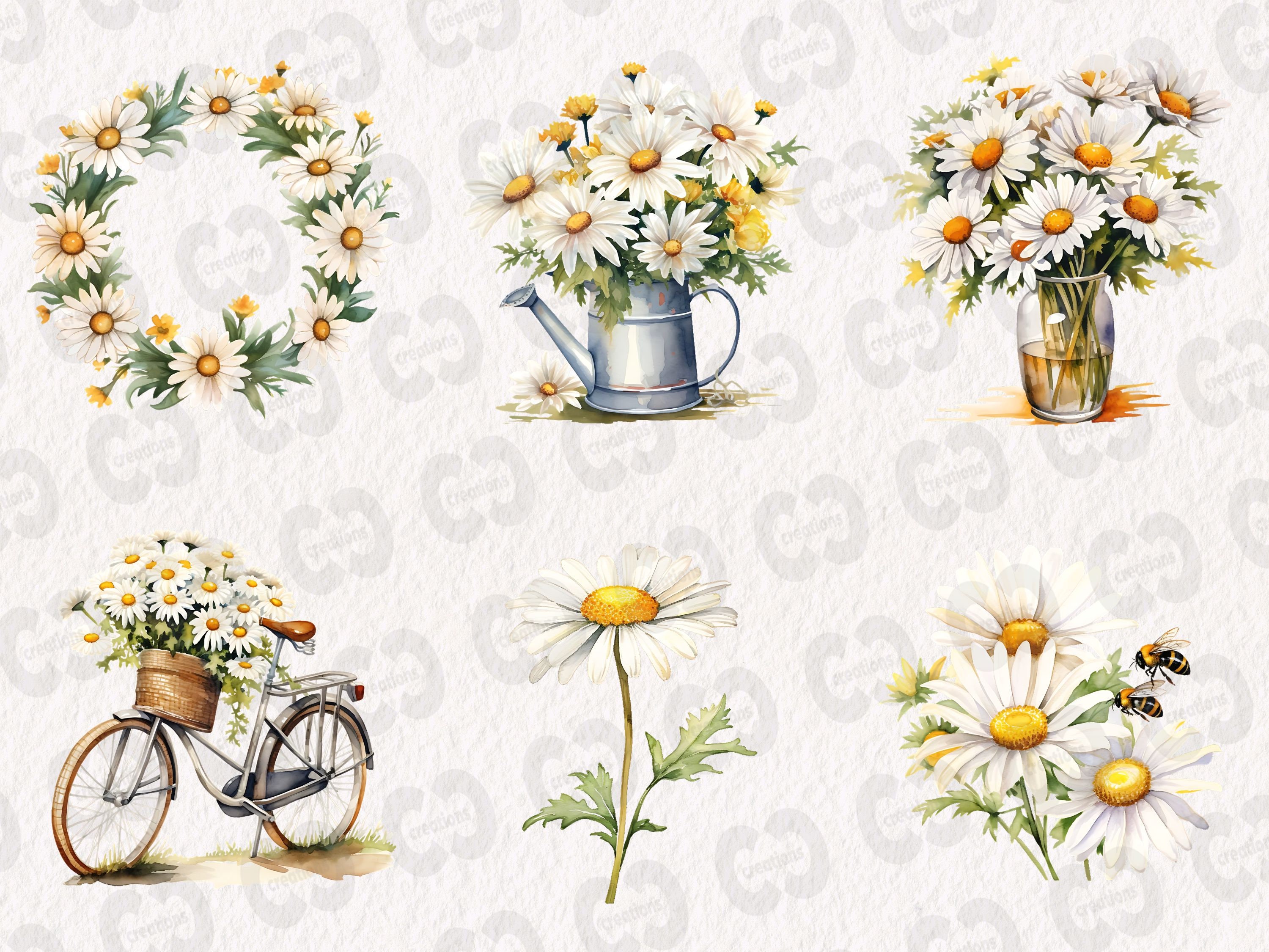 Watercolor Daisy Flower Clipart Bundle Cute Daises Graphics - Etsy