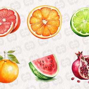 Watercolor Fruits Clipart Bundle, Cute Food Graphics in PNG and SVG ...