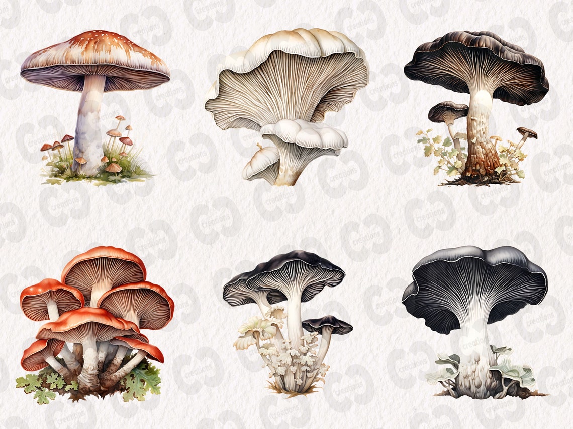 Watercolor Mushrooms Clipart Bundle, Beatiful Forest Graphics, Digital ...