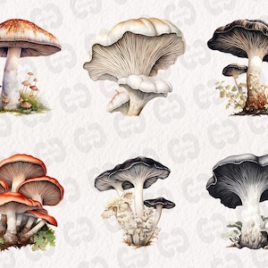 Watercolor Mushrooms Clipart Bundle, Beatiful Forest Graphics, Digital ...