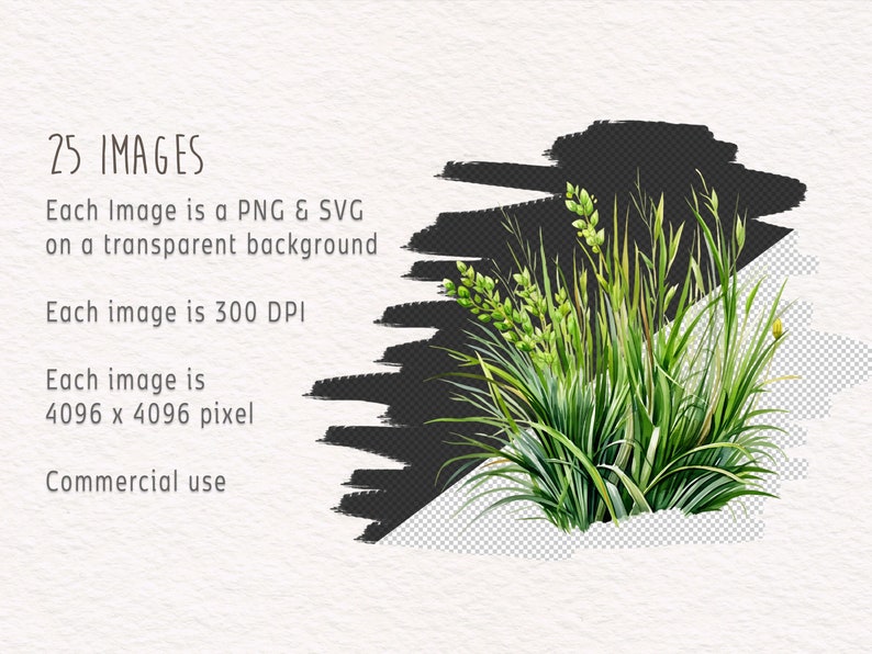 Watercolor Grass Clipart Bundle, Botanical Grass Borders, Tufts of ...