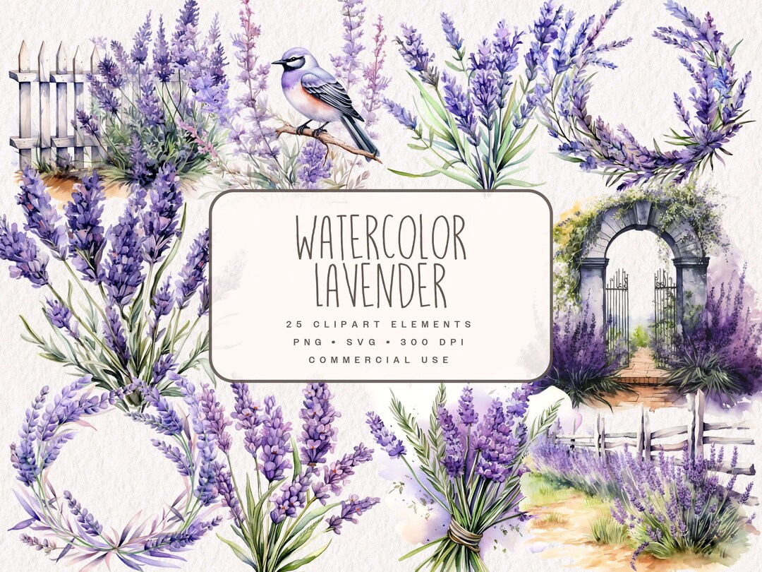 Watercolor Lavender Clipart Bundle, Purple Garden Graphics, Floral ...