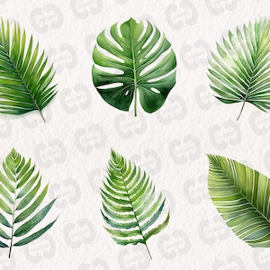 Watercolor Tropical Leaves Clipart, Jungle Graphics in PNG and SVG ...