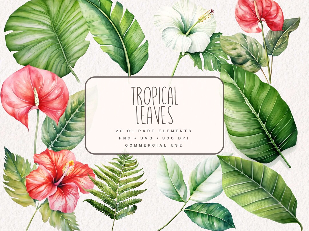 Watercolor Tropical Leaves Clipart, Jungle Graphics in PNG and SVG ...