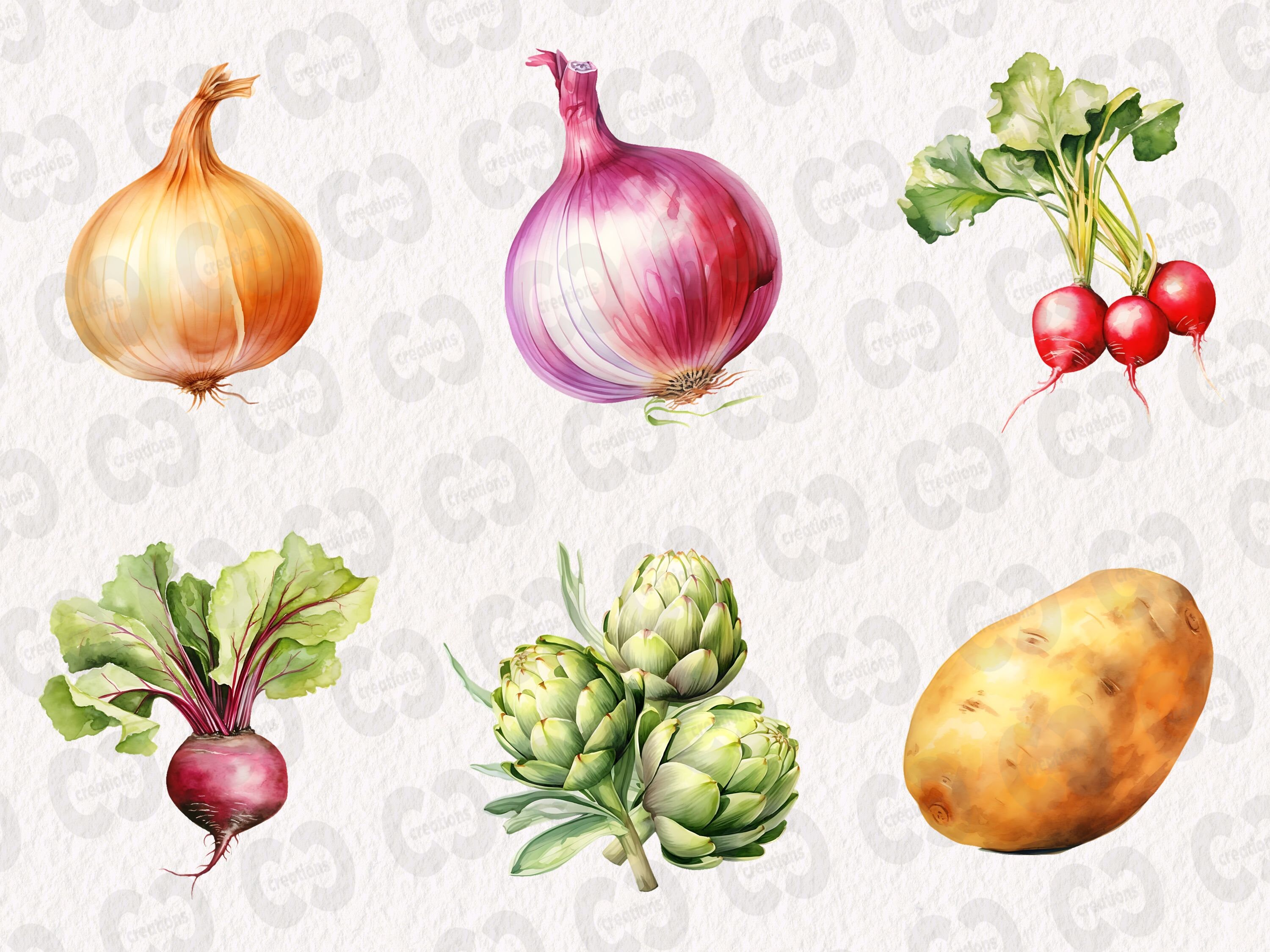 Watercolor Vegetables Clipart Bundle, Veggies in PNG and SVG, Healthy ...
