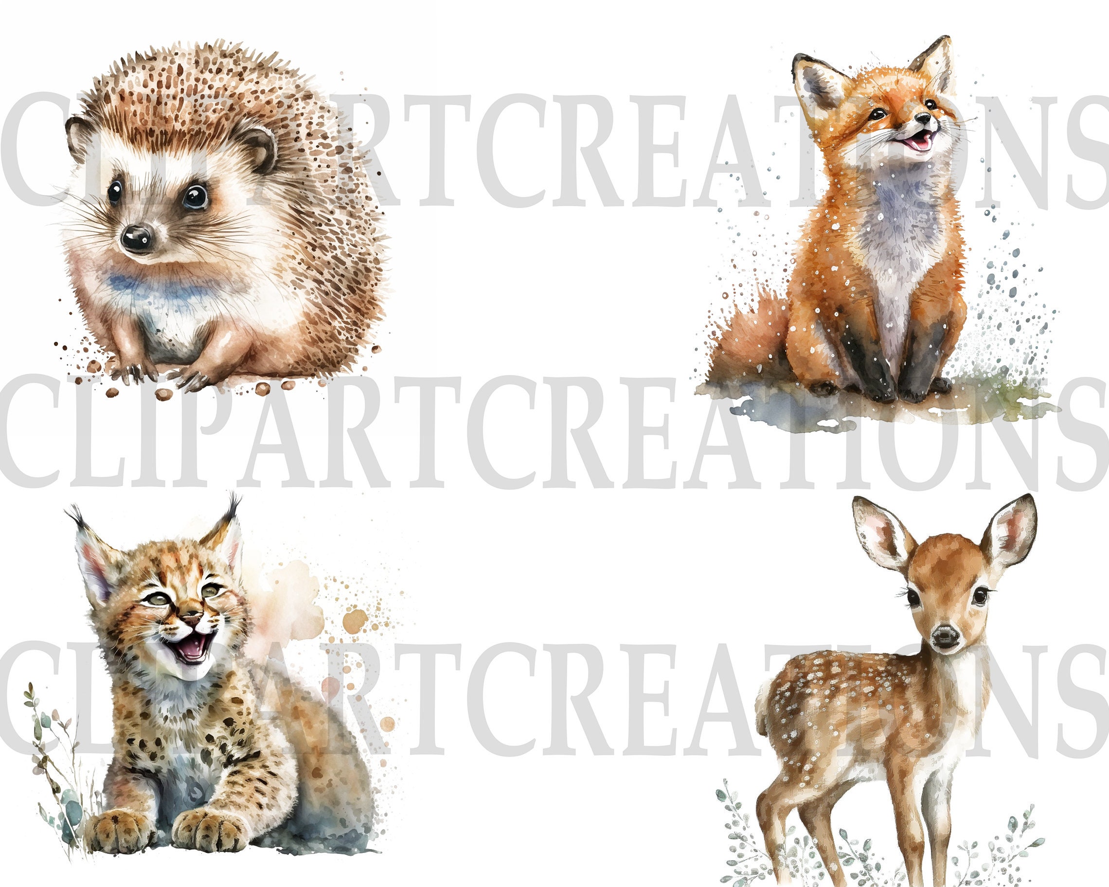 25 Animal Babies Watercolor Clipart, Pngs, Commercial Use, Nursery ...