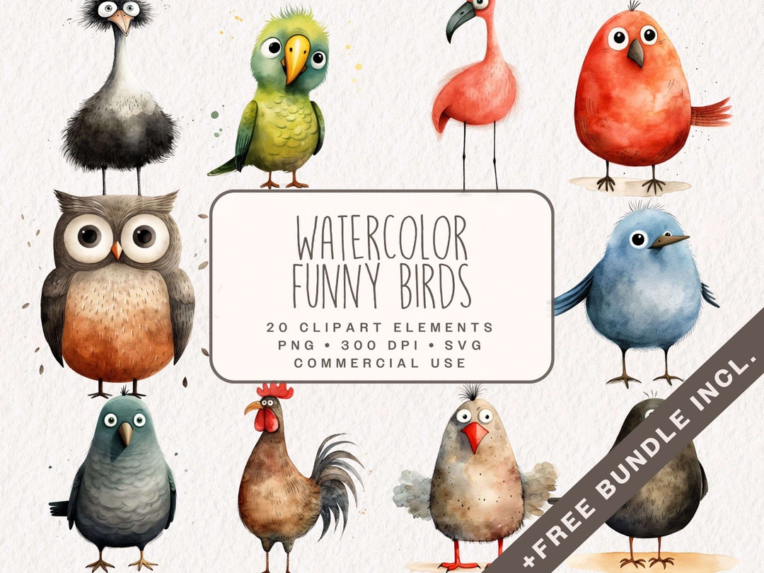 Watercolor Funny Birds Clipart, Cute Bird Graphics in PNG and SVG ...