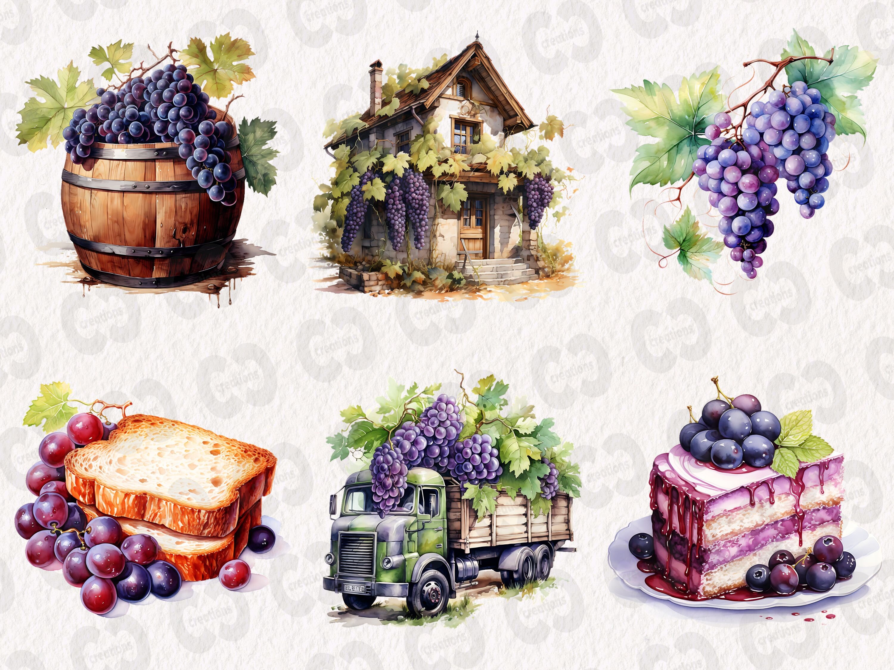 Watercolor Grapes Clipart Bundle Cute Food Graphics in PNG - Etsy