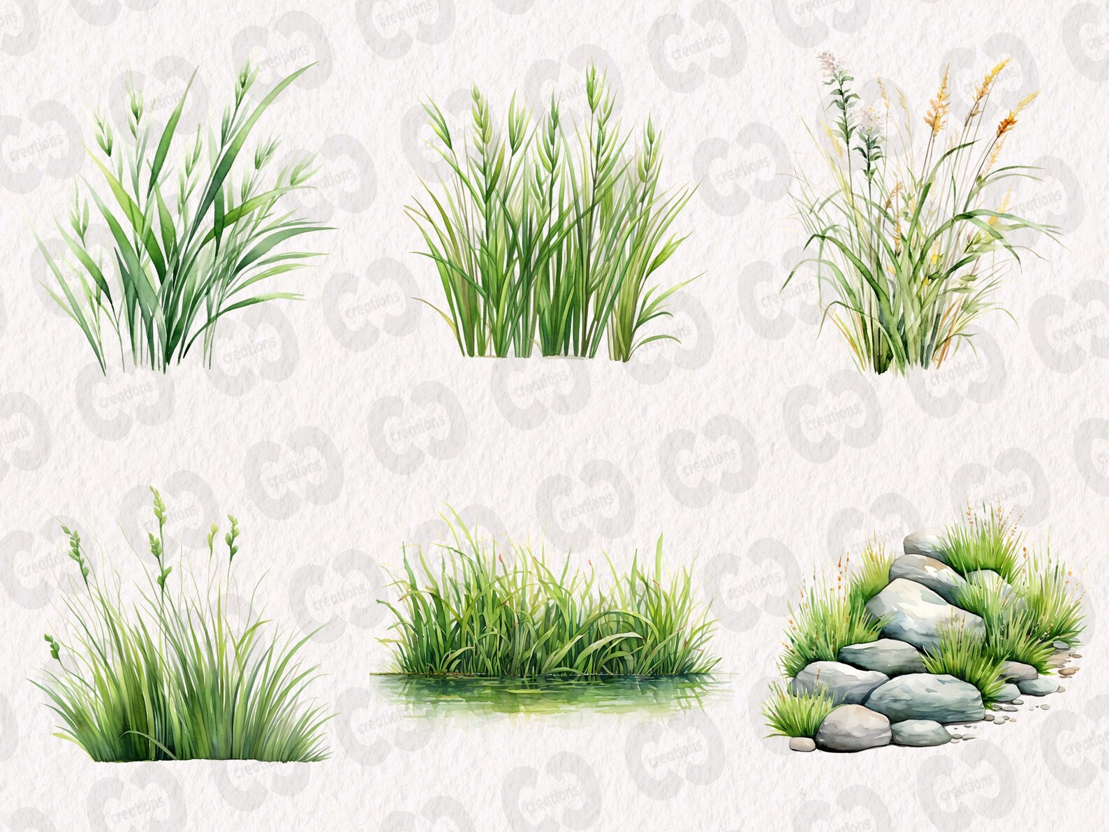 Watercolor Grass Clipart Bundle, Botanical Grass Borders, Tufts of ...