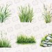 Watercolor Grass Clipart Bundle, Botanical Grass Borders, Tufts of ...