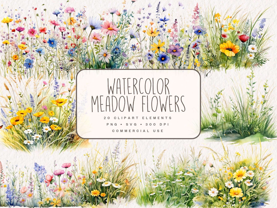 Watercolor Meadow Flowers Clipart, Floral Clip Art Graphics, Digital ...