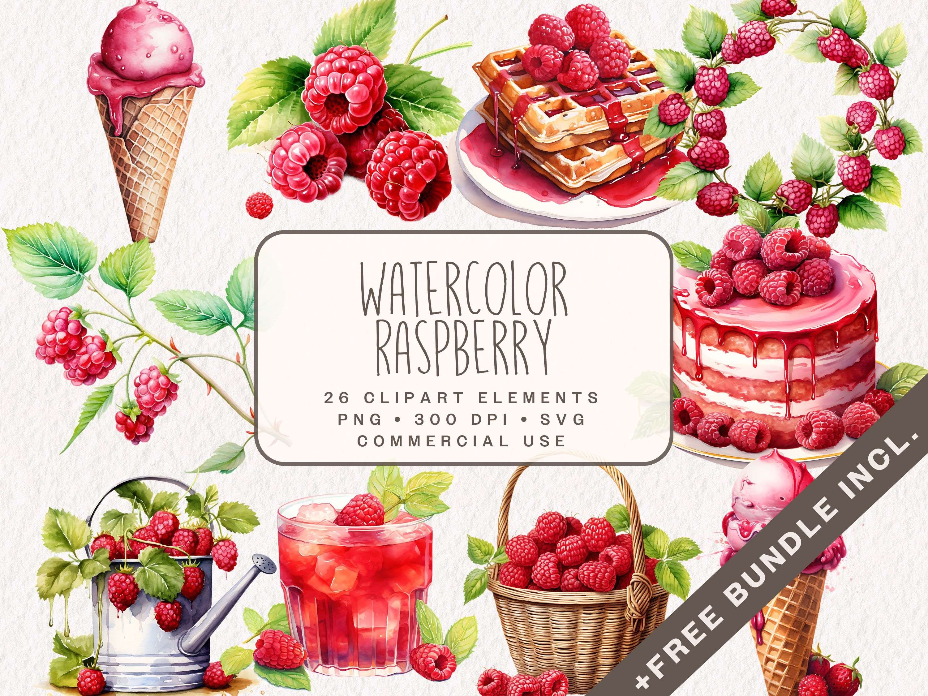 Watercolor Raspberry Clipart Bundle Cute Food Graphics in PNG - Etsy