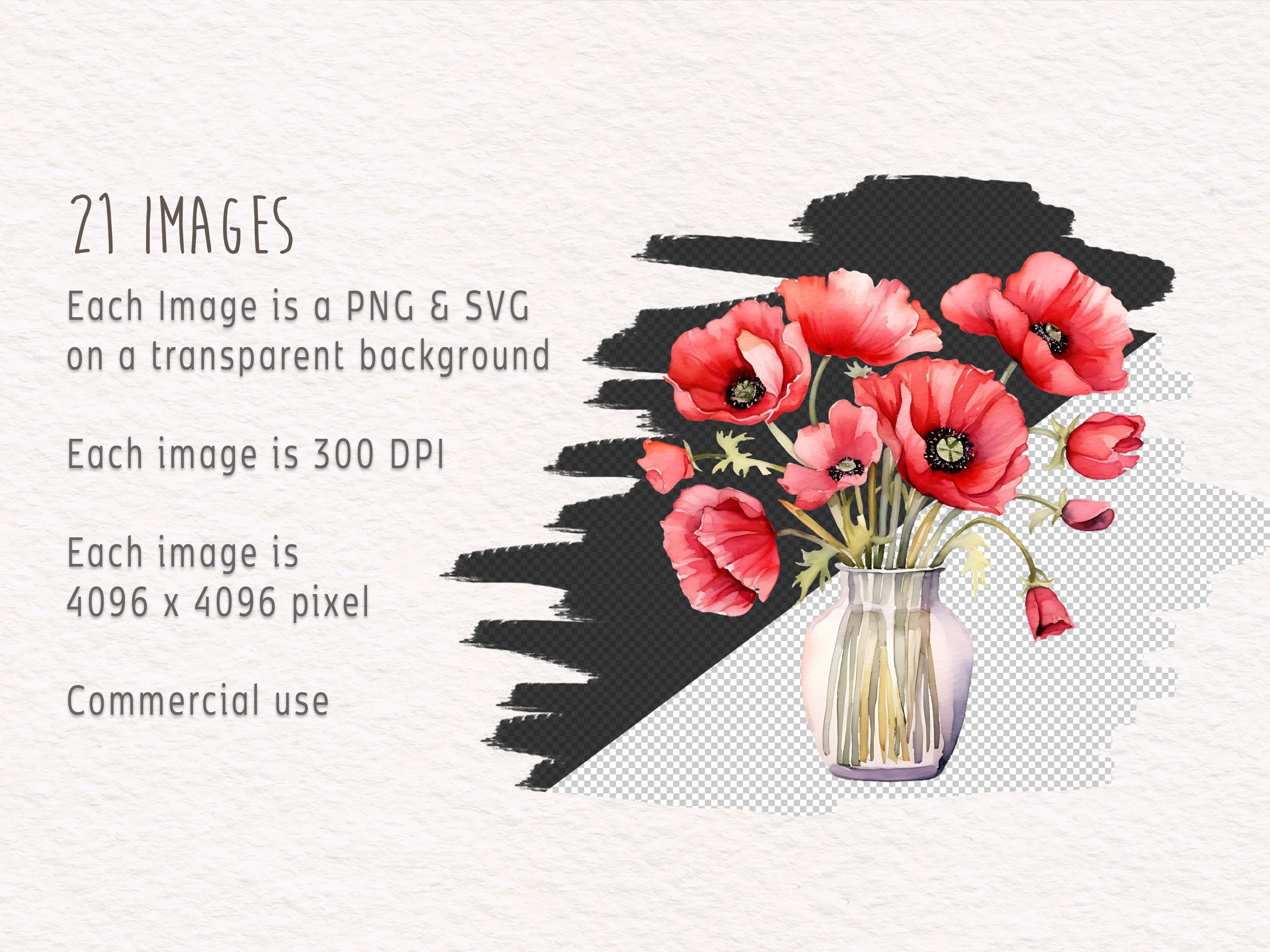 Watercolor Poppies Clipart Bundle, Red Poppy Flower Graphics in PNG and ...