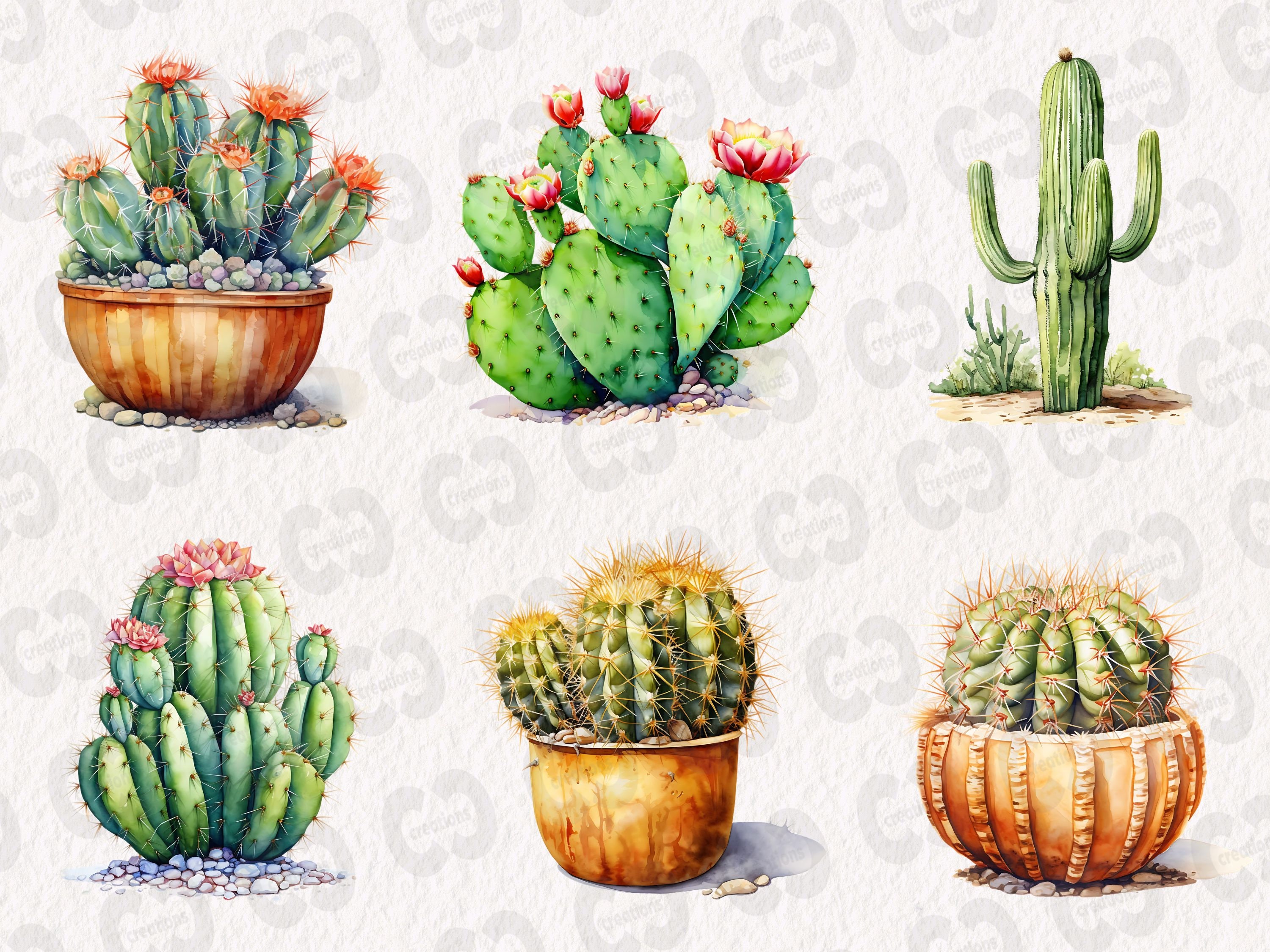 Watercolor Desert Cactus Clipart, Cacti Graphics in PNG and SVG Format ...