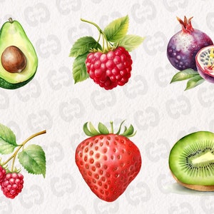 Watercolor Fruits Clipart Bundle, Cute Food Graphics in PNG and SVG ...