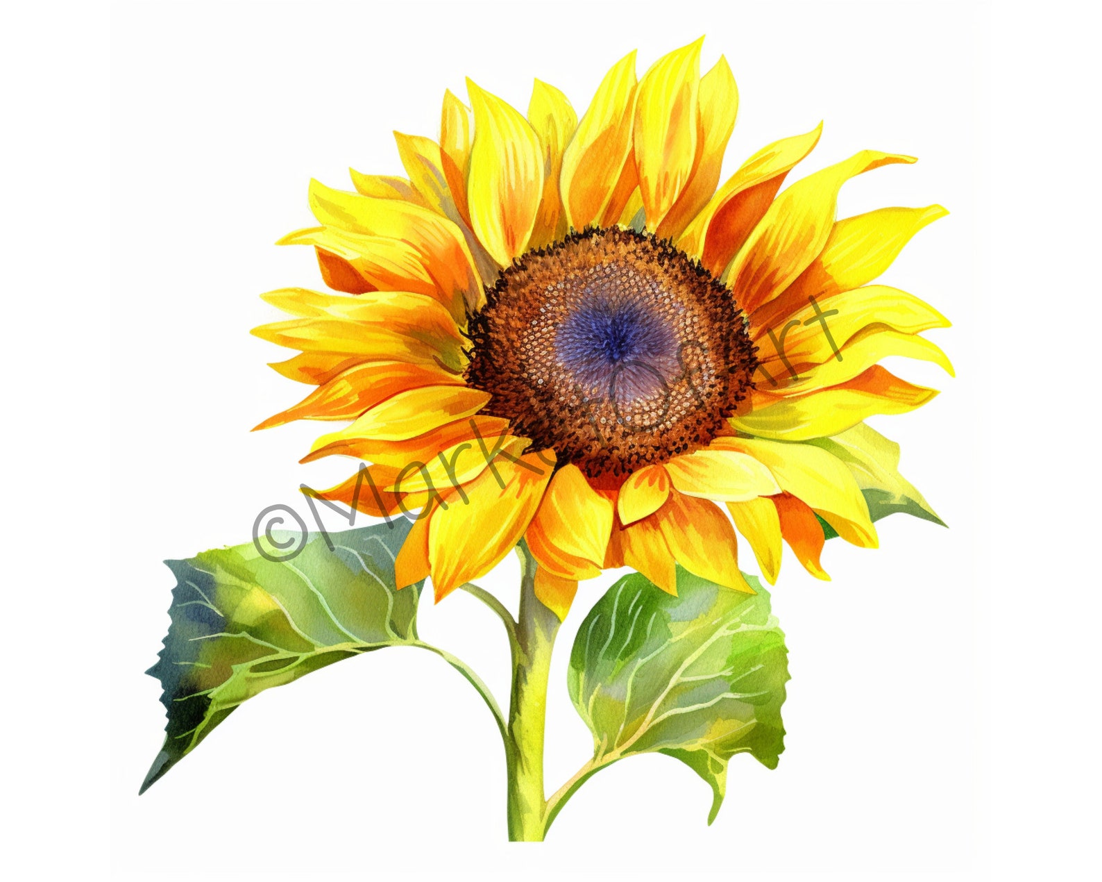 25 Amazing Sunflower Clipart Images | Watercolor Sunflower Clipart ...