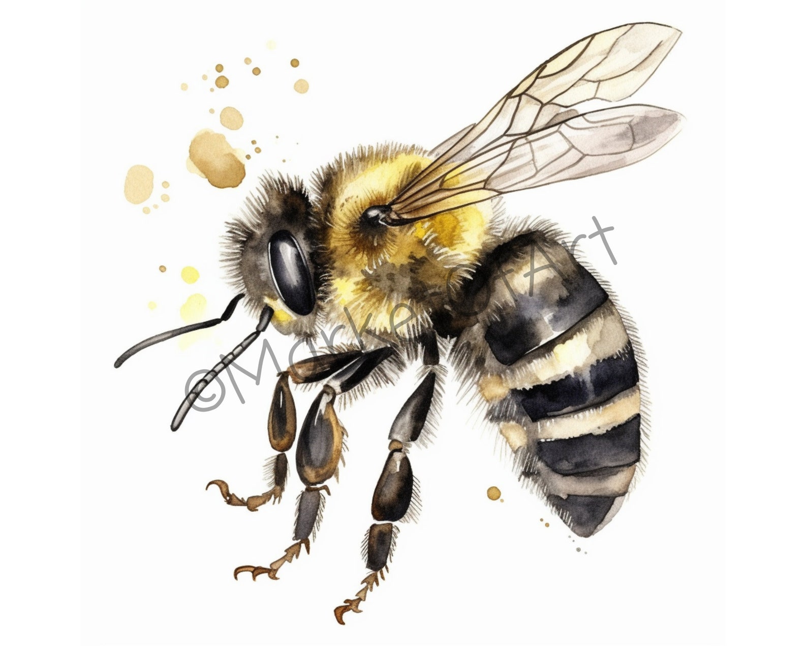 16 Bee Watercolor Clipart Images | High Quality Pngs | Commercial Use ...