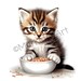 15 Lovely Cute Kitten Clipart Pictures | Realistic Clipart | Animal ...
