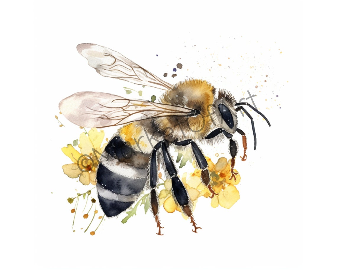 16 Bee Watercolor Clipart Images | High Quality Pngs | Commercial Use ...