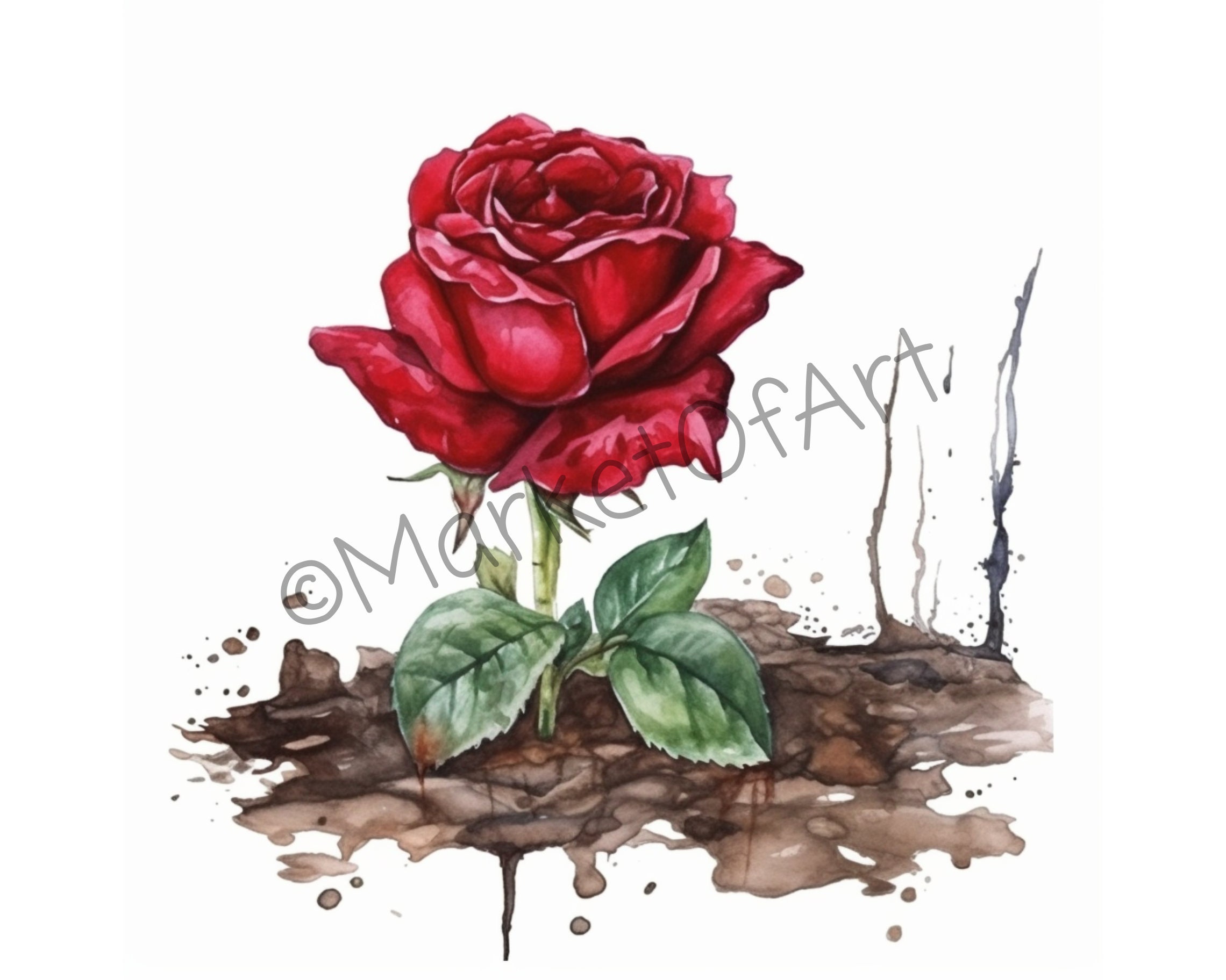 25 Gorgeous Red Rose Watercolor Clipart Images | High Quality Pngs ...