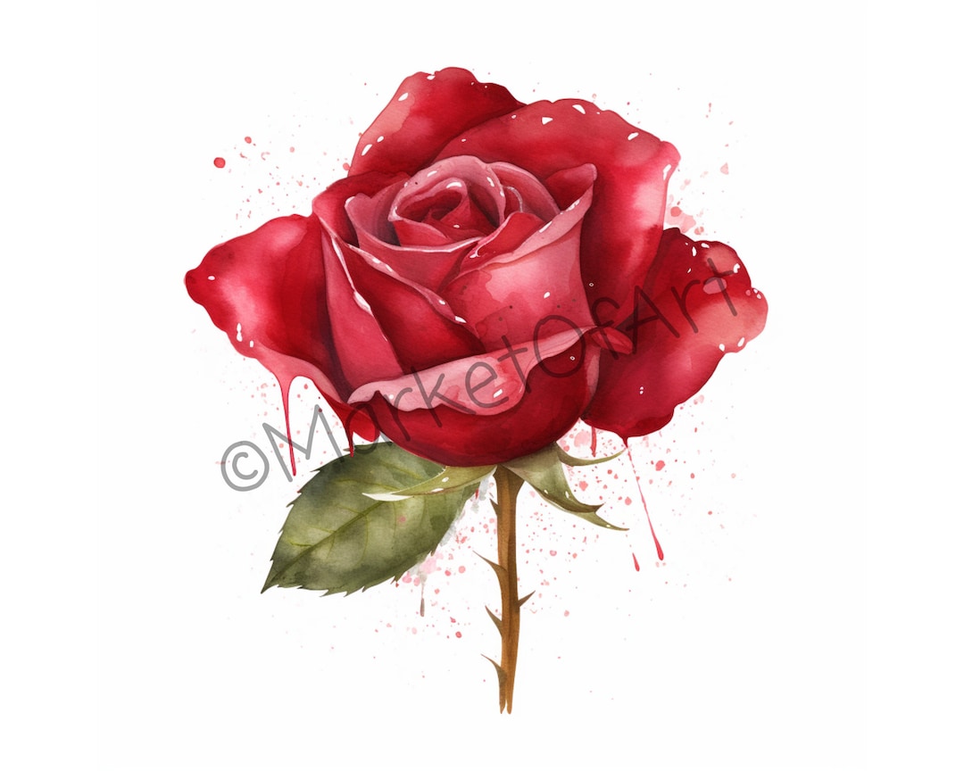 25 Gorgeous Red Rose Watercolor Clipart Images | High Quality Pngs ...