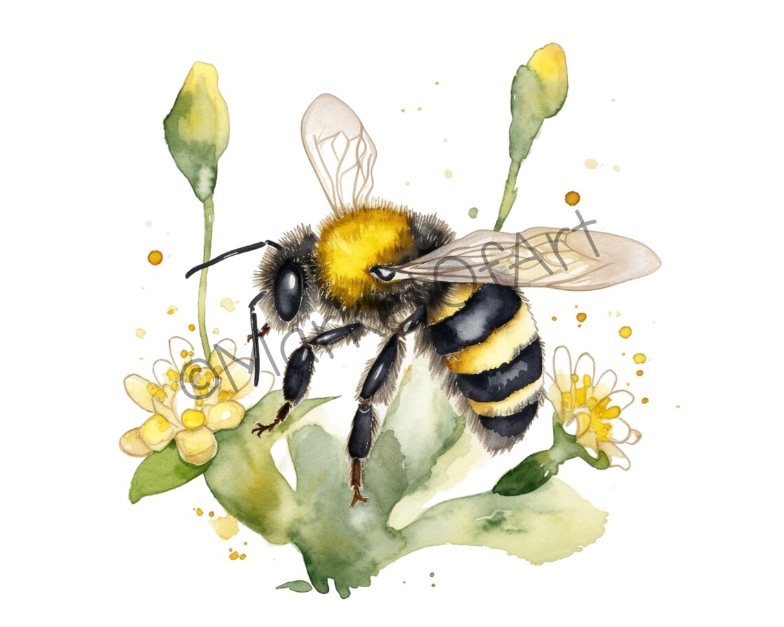 16 Bee Watercolor Clipart Images | High Quality Pngs | Commercial Use ...