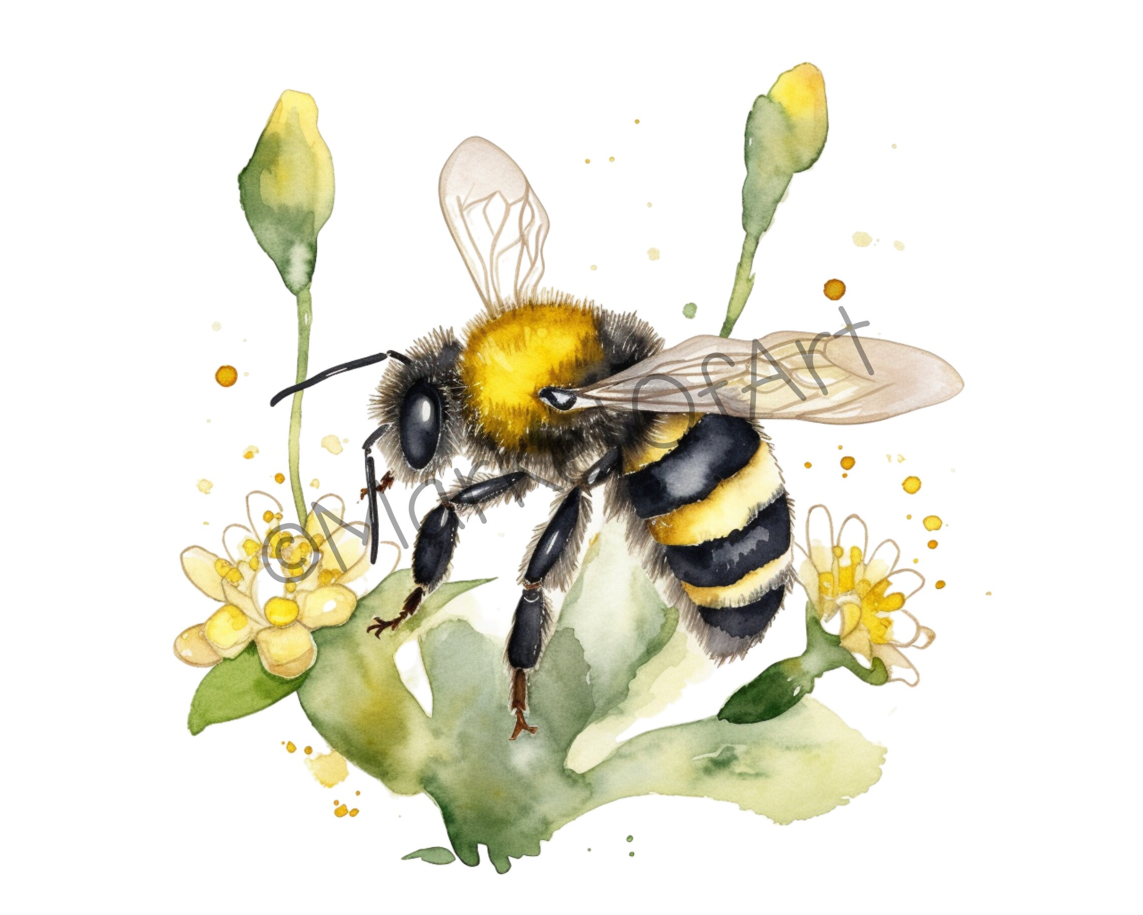 16 Bee Watercolor Clipart Images | High Quality Pngs | Commercial Use ...
