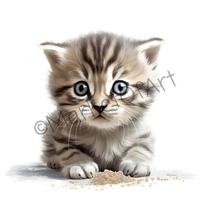 15 Lovely Cute Kitten Clipart Pictures | Realistic Clipart | Animal ...