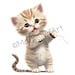 15 Lovely Cute Kitten Clipart Pictures | Realistic Clipart | Animal ...