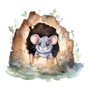 16 Adorable Cute Rat Watercolor Clipart Images | High Quality Pngs ...