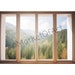 15 Stunning Window View Zoom Backgrounds Professional 16:9 Zoom ...
