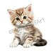 15 Lovely Cute Kitten Clipart Pictures | Realistic Clipart | Animal ...