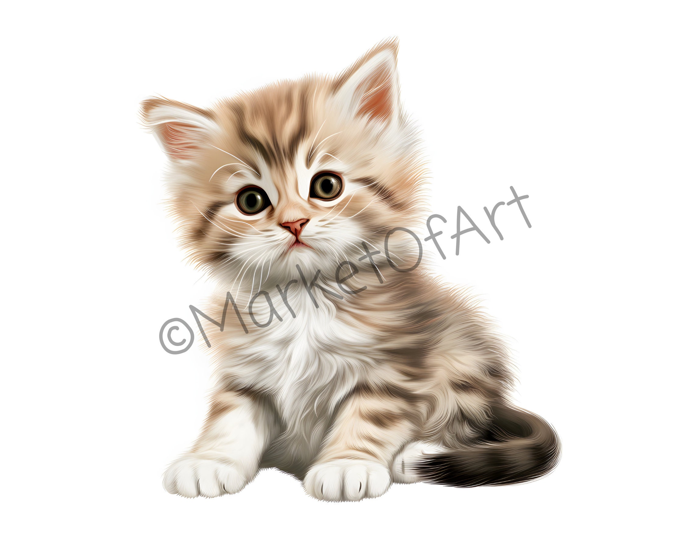 15 Lovely Cute Kitten Clipart Pictures | Realistic Clipart | Animal ...