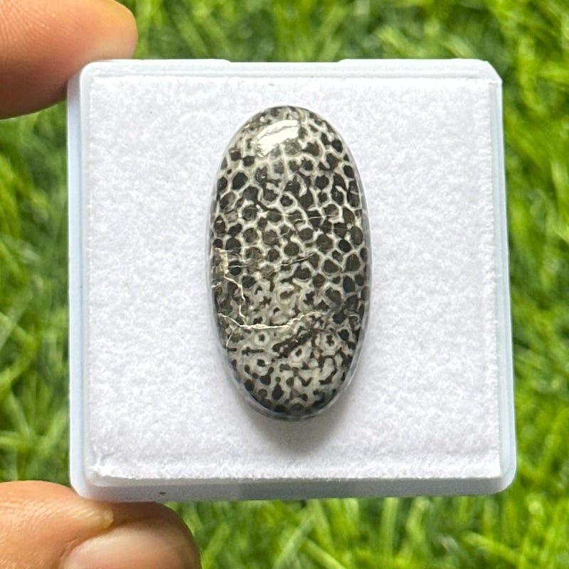 Snakeskin Agate - Etsy