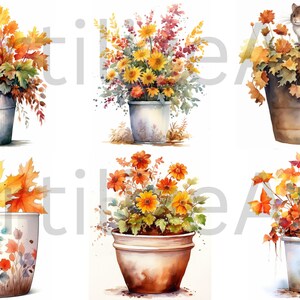 Watercolor Fall Flower Pots Clipart - Autumn Png - Instant Download ...