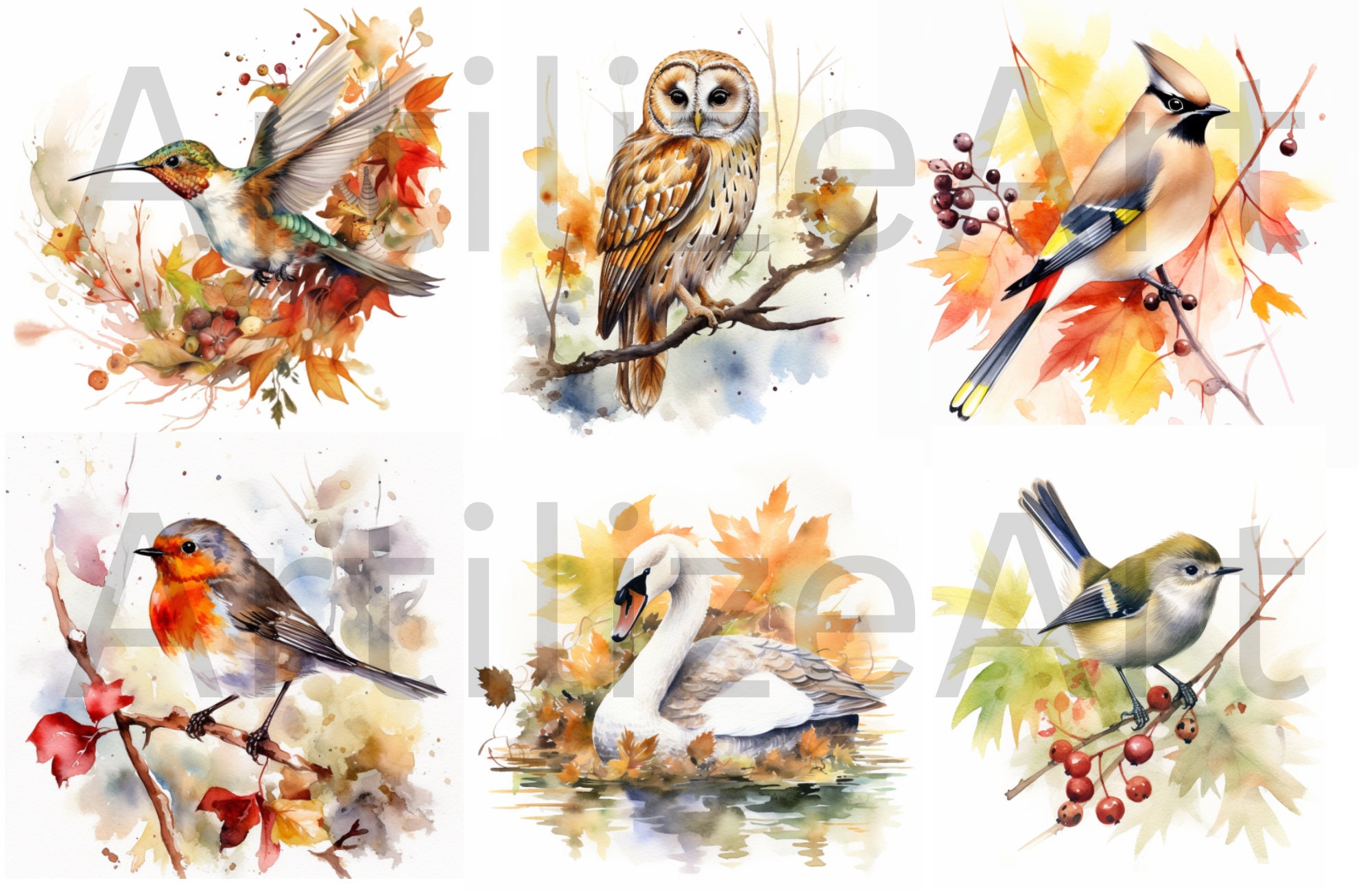 Watercolor Fall Bird Clipart - Autumn Bird Png Bundle - Instant ...