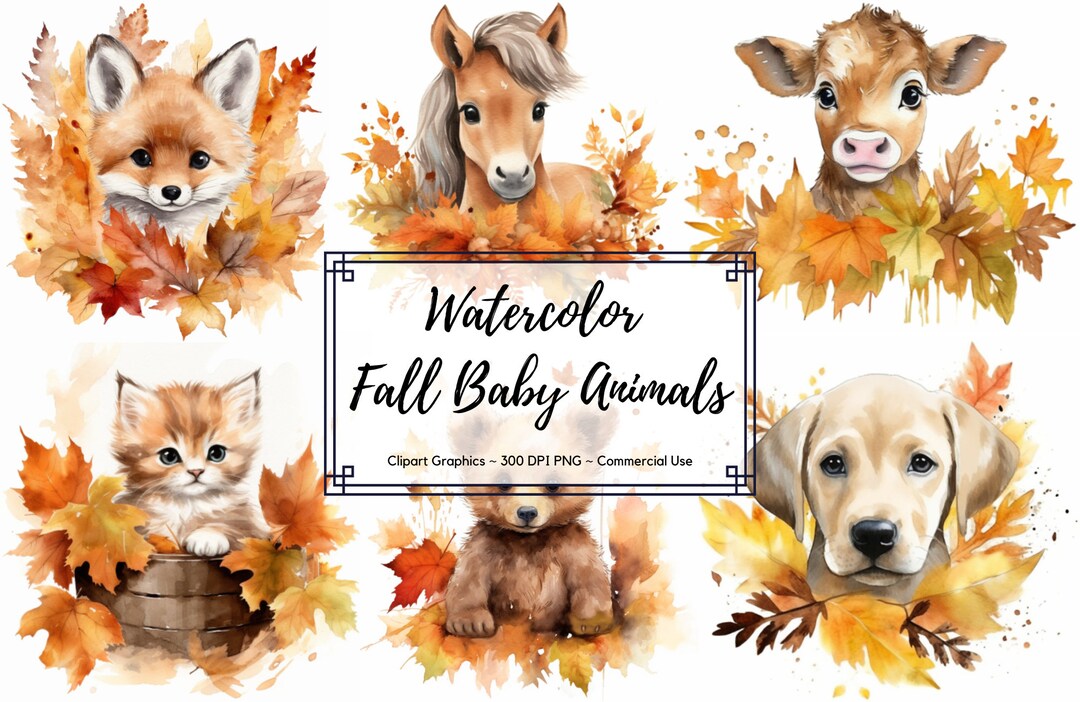 Watercolor Fall Baby Animals Clipart - Autumn Png - Instant Download ...