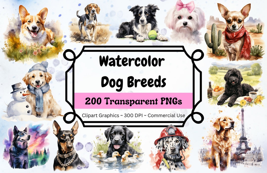 Dog Breeds Clipart Bundle - PNG Format - Instant Download - Commercial ...