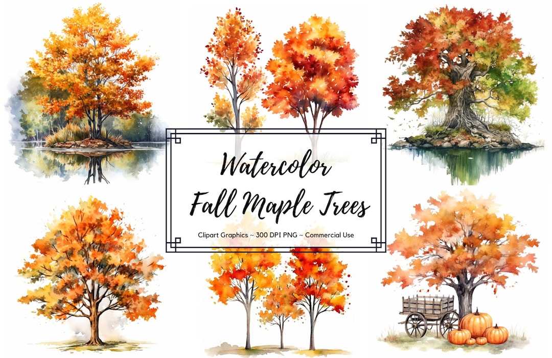 Watercolor Fall Maple Trees Clipart - Autumn Watercolor PNG Format ...