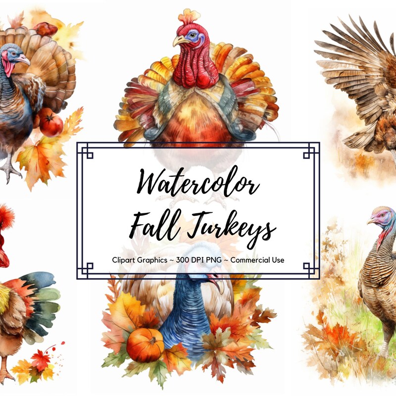 Watercolor Turkey - Etsy