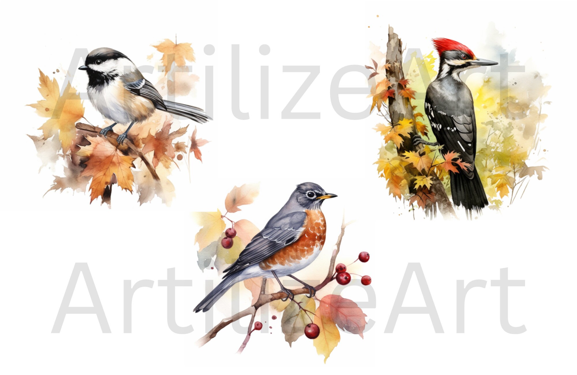 Watercolor Fall Bird Clipart - Autumn Bird Png Bundle - Instant ...